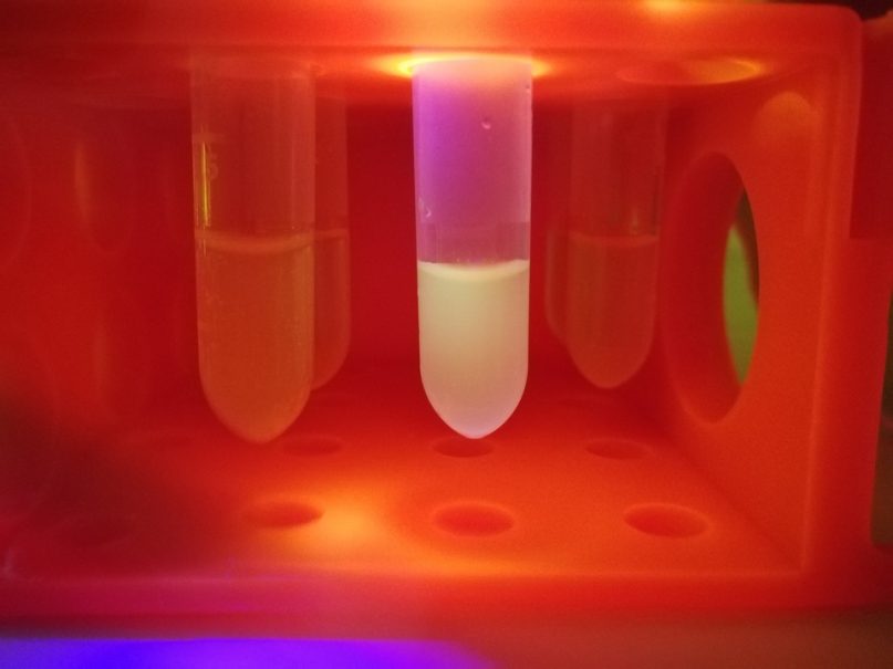 „Emocijų biochemija“ – Ore.lt